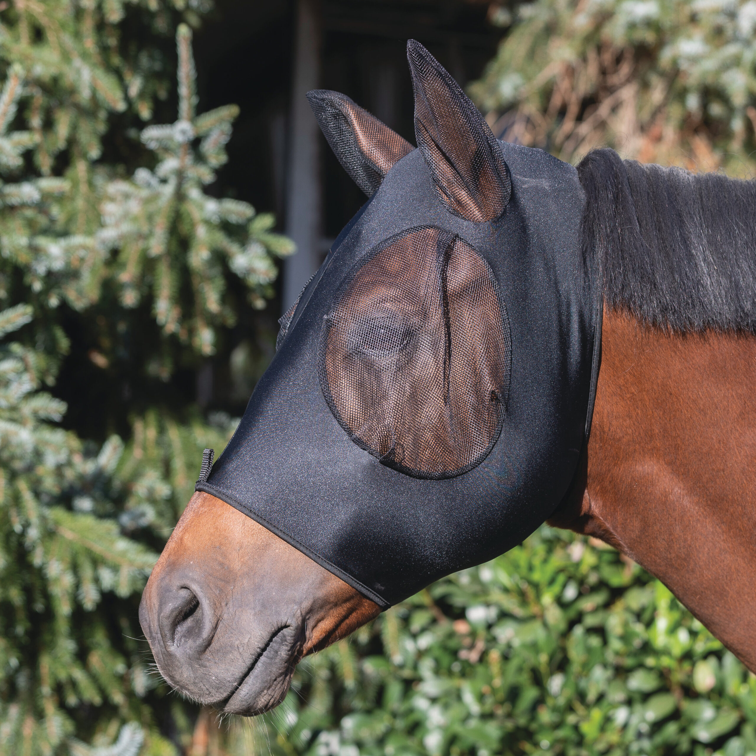 Usg Fly Mask With Ears - Sporthorse Saddlery